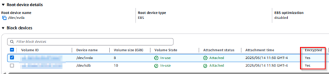 Encrypting Unencrypted AWS EBS Volumes Guide | XTIVIA