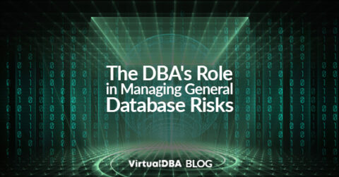 The DBA's Role in Managing General Database Risks - VDBA