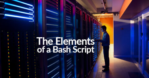 The Elements of a Bash Script